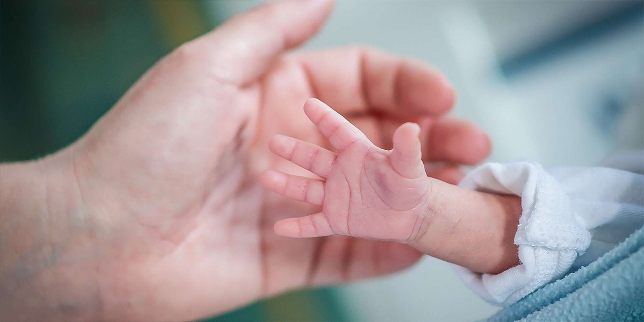 Program Schedule - ROP Update